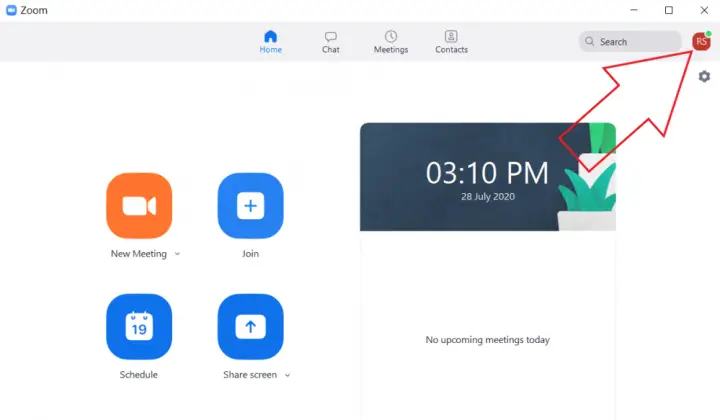Show Profile Picture in Zoom Meeting Instead of Video - Gadgets To Use