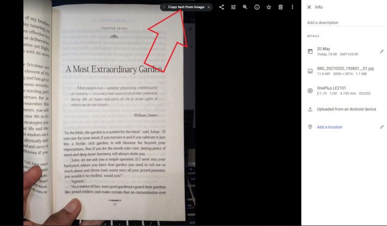 3 Quick Ways to Copy Text from Images on Android, iPhone, and PC ...