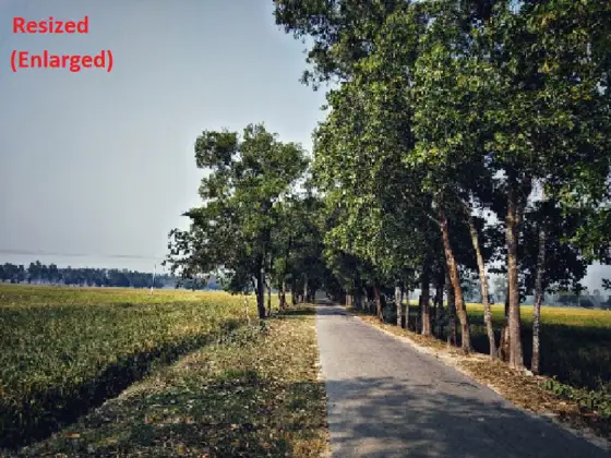 5 Ways to Increase Image Resolution and Size Without Losing Quality ...