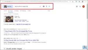 3 Ways To Google Search For Objects or Part Of The Photo - Gadgets To Use