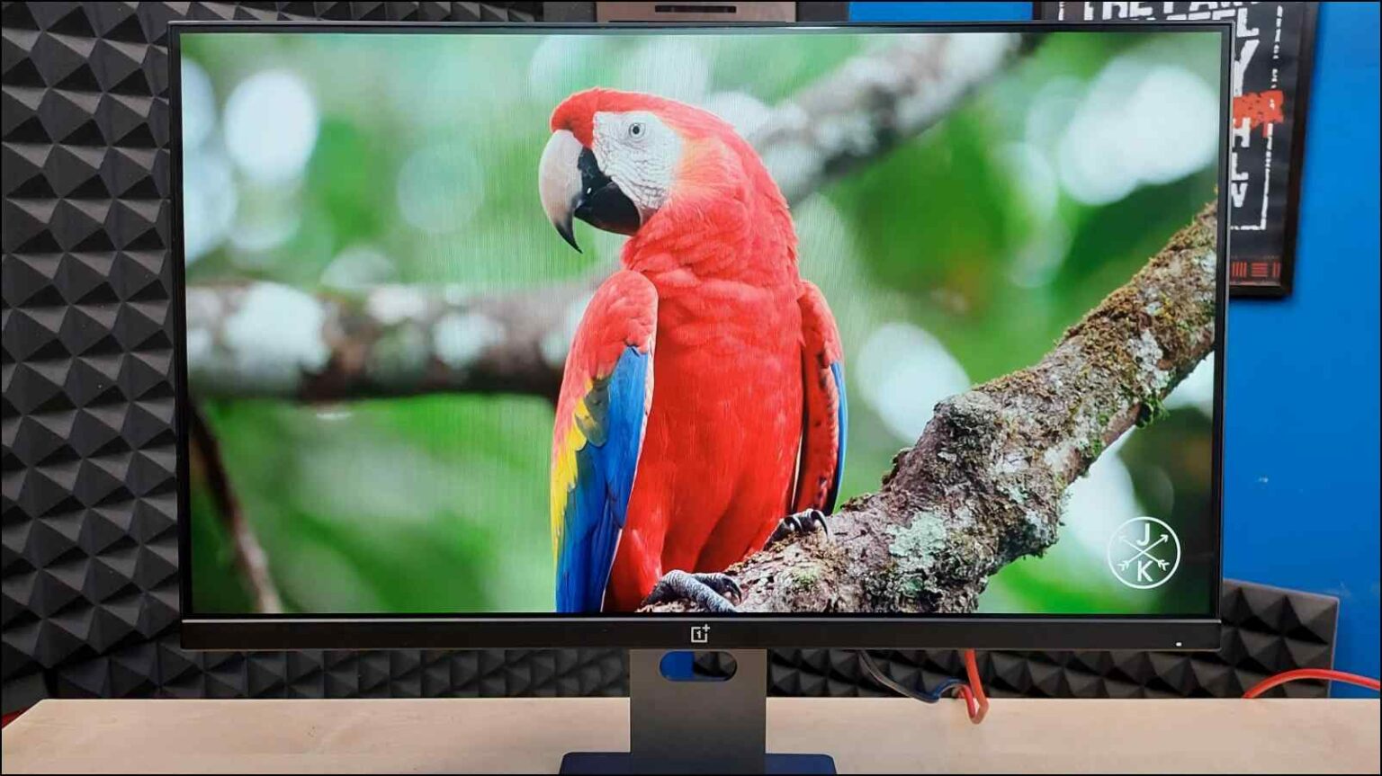 OnePlus E24 Monitor Review: Premium Experience at Budget Price - Gadgets To Use