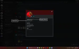 3 Ways to Change Username or Display Name on Discord - Gadgets To Use