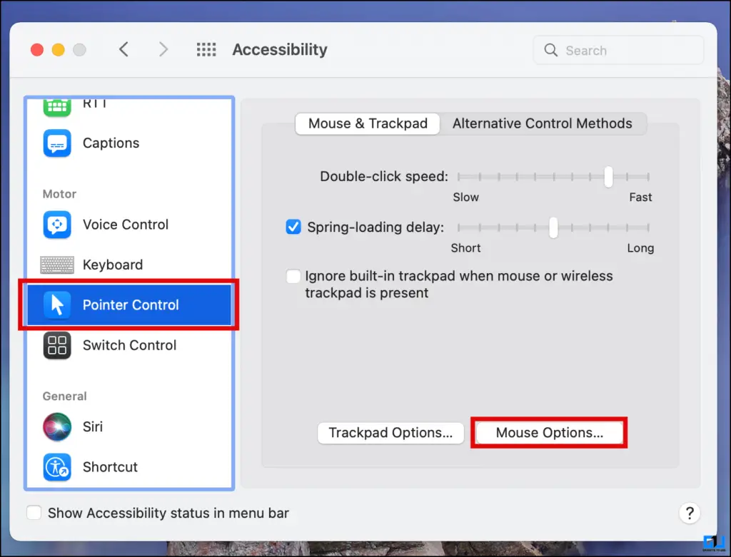 7 Ways to Fix Mouse Scroll Not Working on Mac - Gadgets To Use