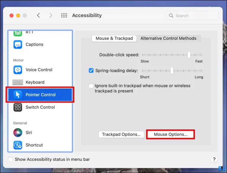 7 Ways to Fix Mouse Scroll Not Working on Mac - Gadgets To Use