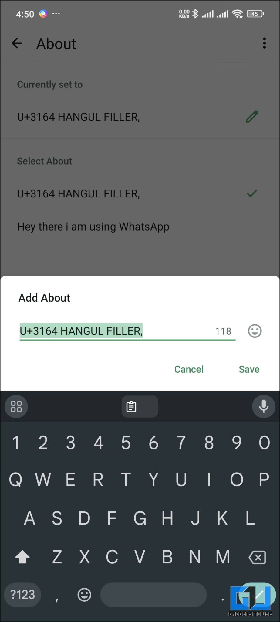 How to Set a Blank Status On WhatsApp (4 Ways) – Kowatek Solar LTD